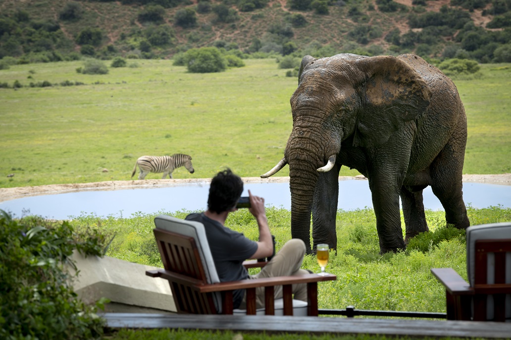 An extraordinary wildlife adventure made easy at Gorah Elephant Camp ...