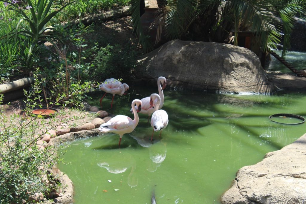 REVIEW: Meropa – a hidden gem of casino thrills, luxury, culture ...