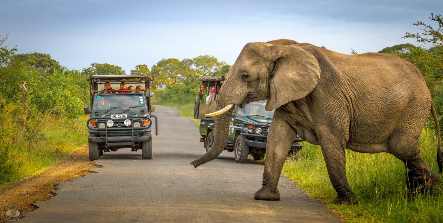 Fly-In safaris define modern luxury African travel - Bonne Vie